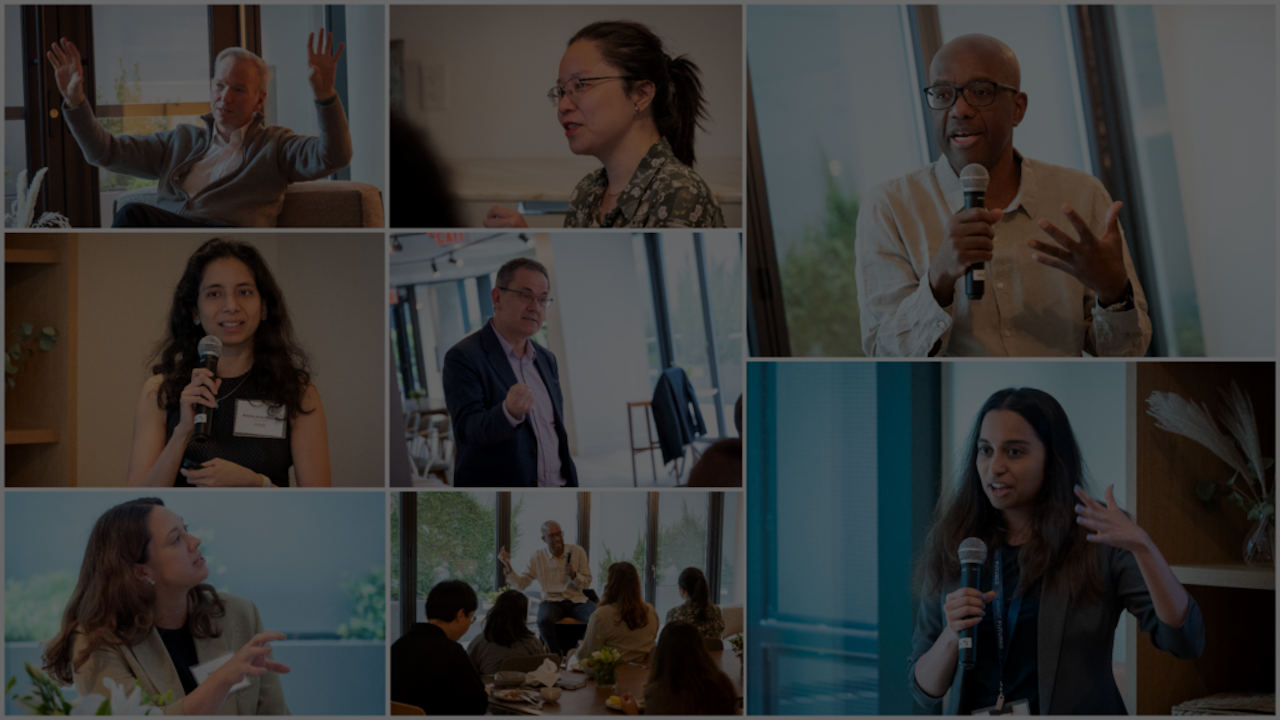 News & Perspectives - AI2050