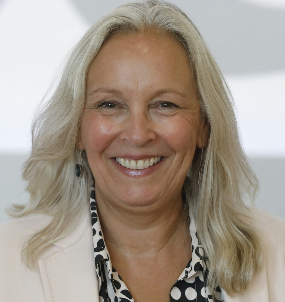 Gillian Hadfield - AI2050